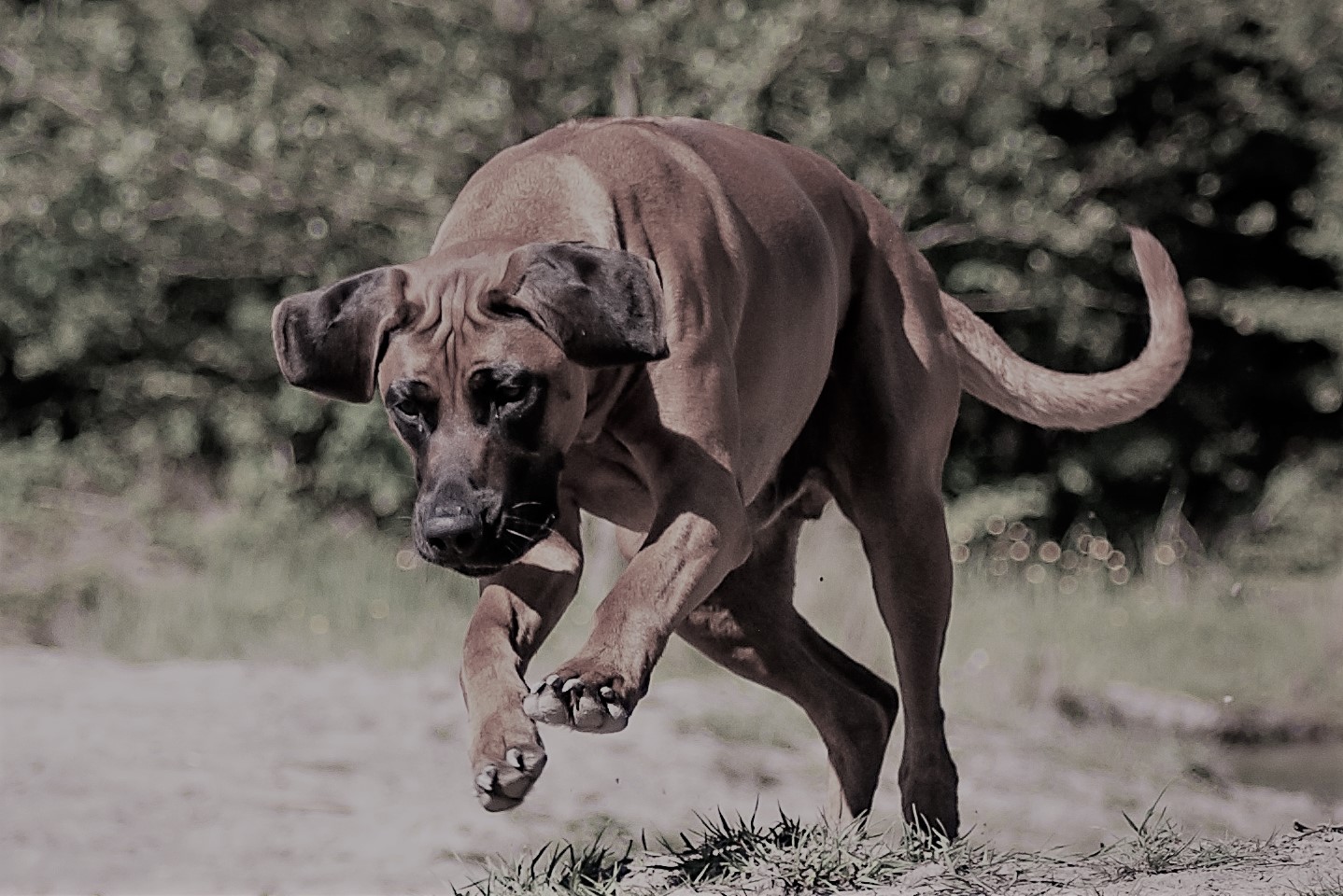 Über uns – Instinktief.de