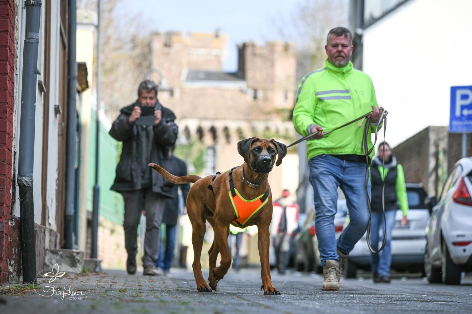 Mantrailing – Instinktief.de